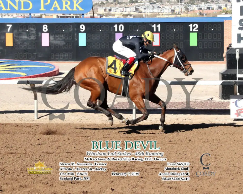 BLUE DEVIL - Winsham Lad Stakes - 48th Running - 02-07-25 - R07 - SUN - Finish 01 | Coady Media ...