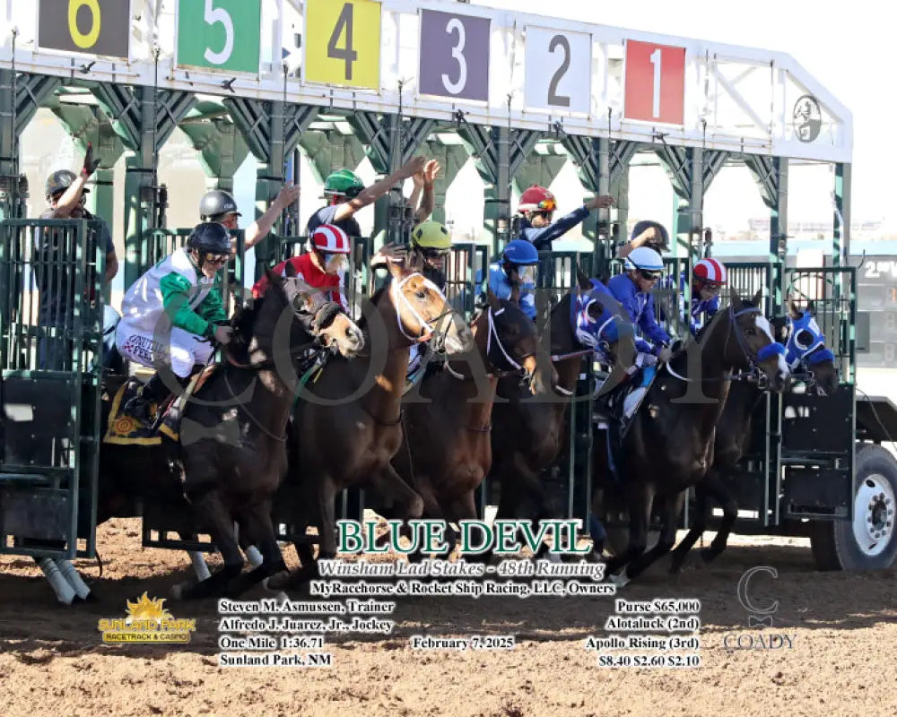 BLUE DEVIL - Winsham Lad Stakes - 48th Running - 02-07-25 - R07 - SUN - Gate 01 | Coady Media ...