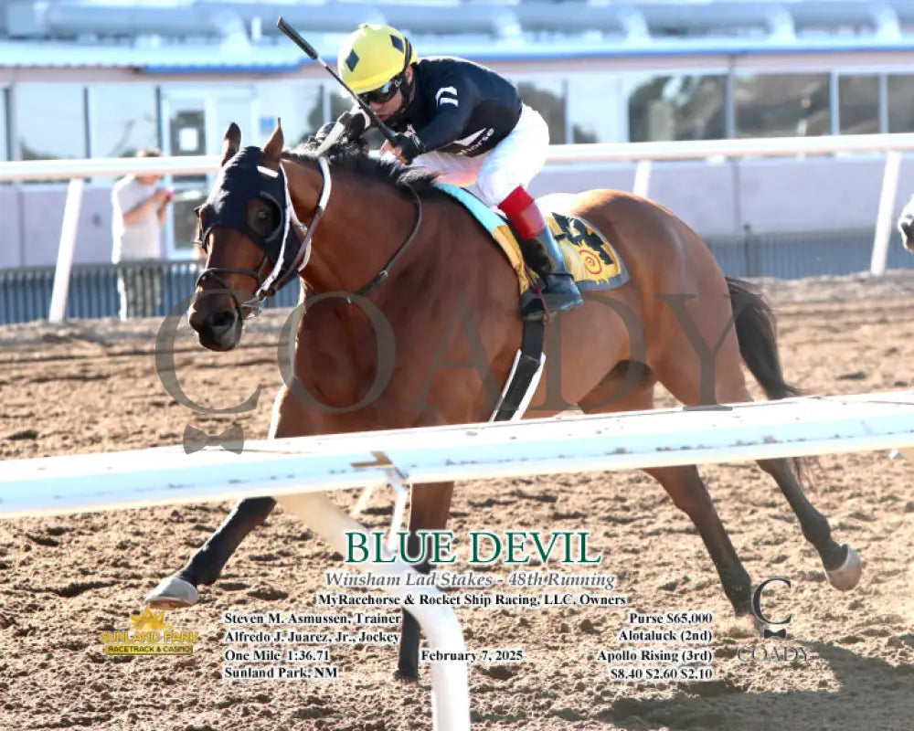 BLUE DEVIL - Winsham Lad Stakes - 48th Running - 02-07-25 - R07 - SUN - Inside Finish 01 | Coady ...