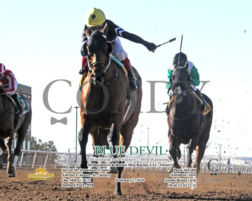 BLUE DEVIL - Winsham Lad Stakes - 48th Running - 02-07-25 - R07 - SUN - Under Rail 3 | Coady ...