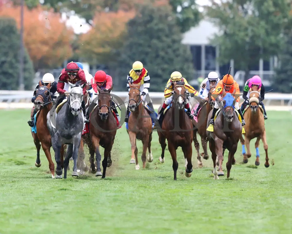 CARAVEL - The Franklin G3 - 26th Running - 10-16-22 - R07 - KEE - Head On 01 | Coady Media ...