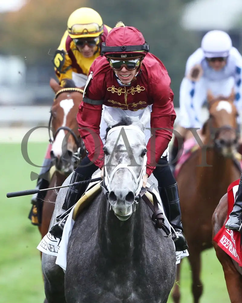 CARAVEL - The Franklin G3 - 26th Running - 10-16-22 - R07 - KEE - Head On 02 | Coady Media ...