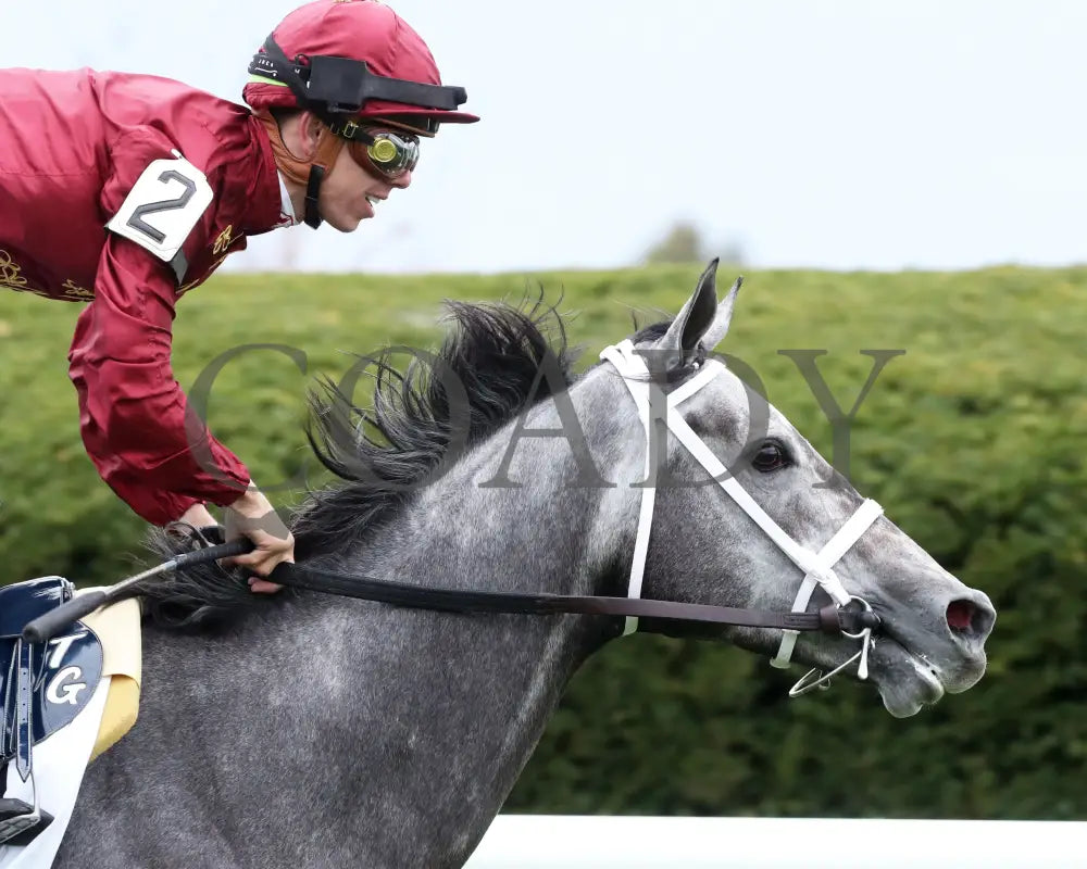 CARAVEL - The Franklin G3 - 26th Running - 10-16-22 - R07 - KEE - Tight Finish 02 | Coady Media ...