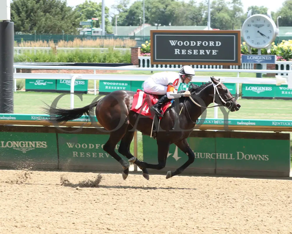 GULFPORT - The Bashford Manor - 121st Running - 07-04-22 - R06 - CD - – Coady Media - Kurtis ...