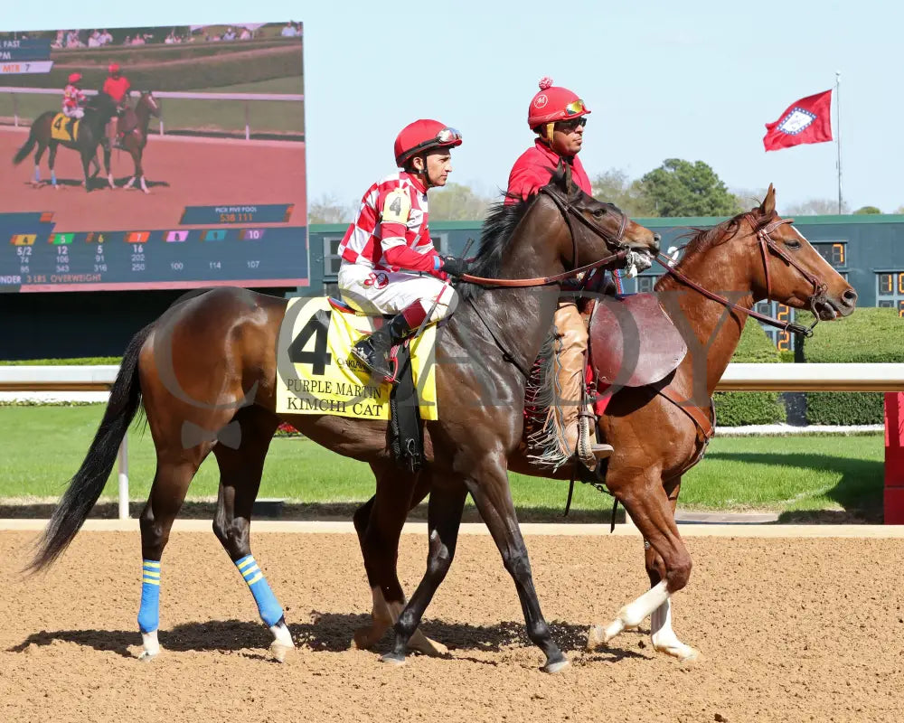 KIMCHI CAT - The Purple Martin - 03-22-25 - R07 - Oaklawn Park - Post Parade 02 | Coady Media ...