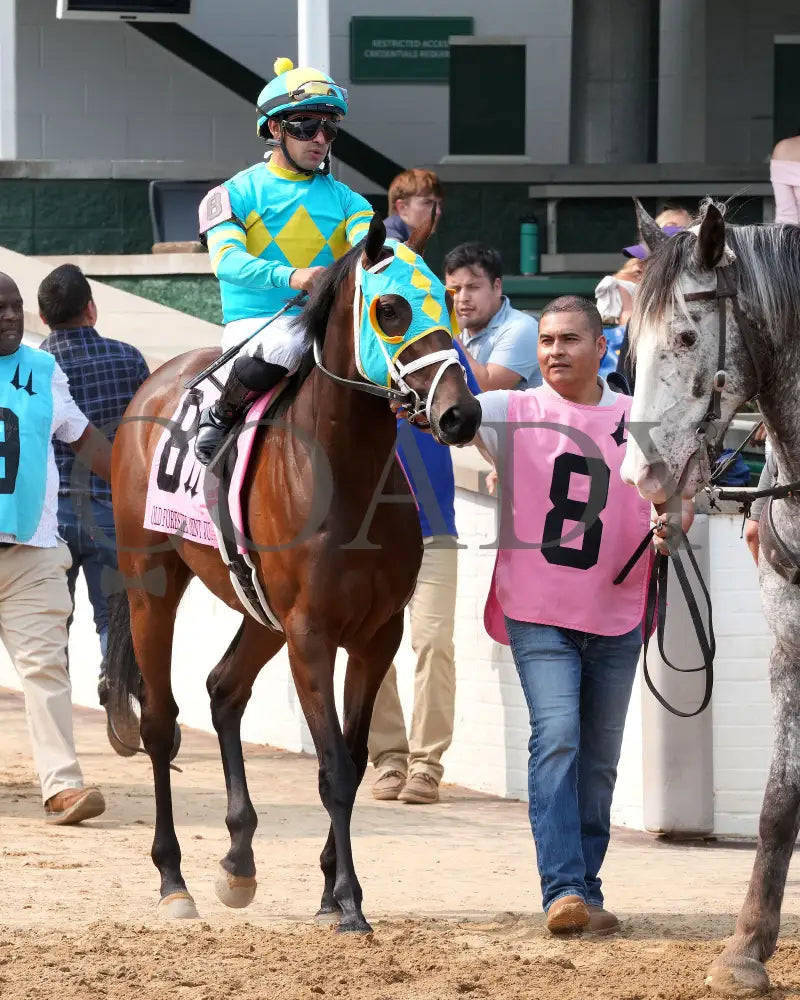 PIN UP BETTY - The Old Forester Mint Julep G3 - 060125 - Race 09 - CD - Post Parade 03 | Coady ...