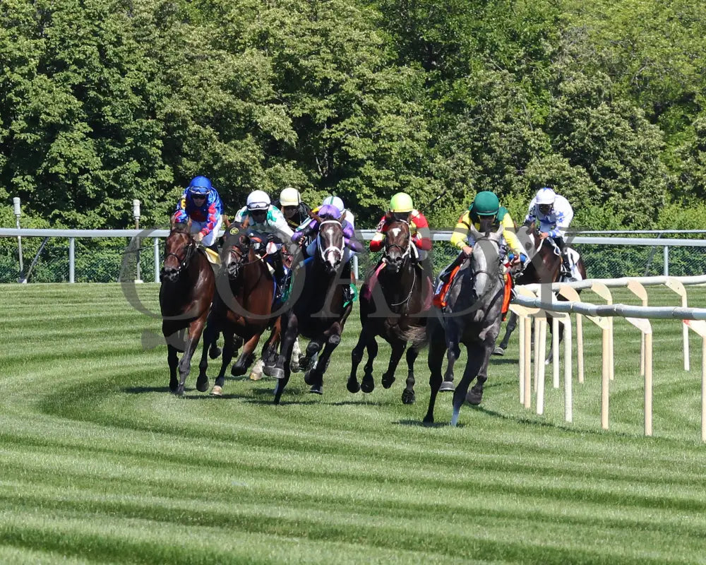 REAL STORY - The American Derby G3 - 104th Running - 07-07-18 - R05 - AP -Turn 01 | Coady Media ...