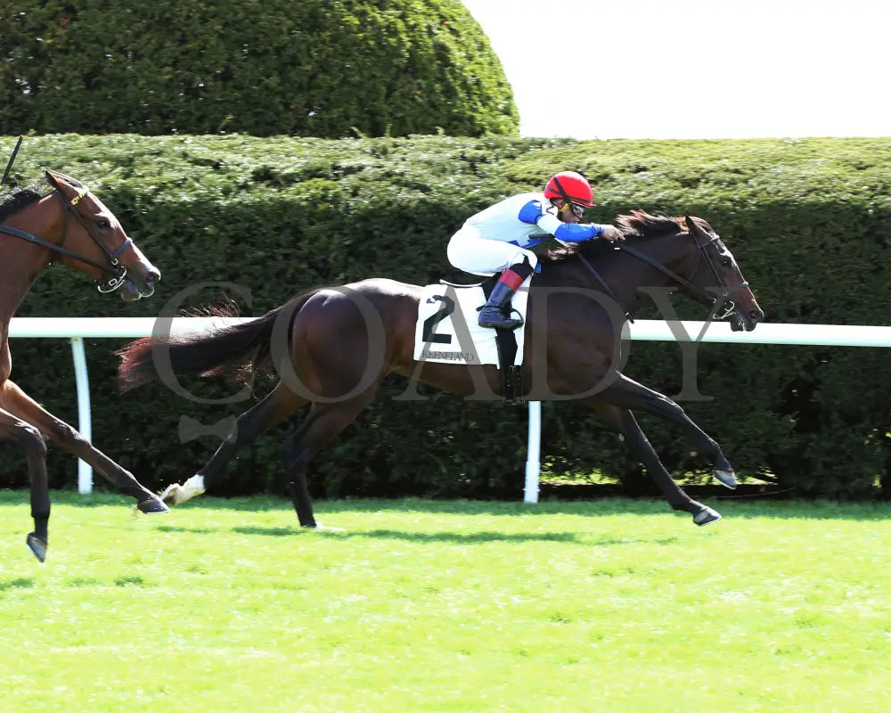 SLIPSTREAM - The Palisades - 16th Running - 04-10-22 - R07 - KEE - Finish 01 | Coady Media ...