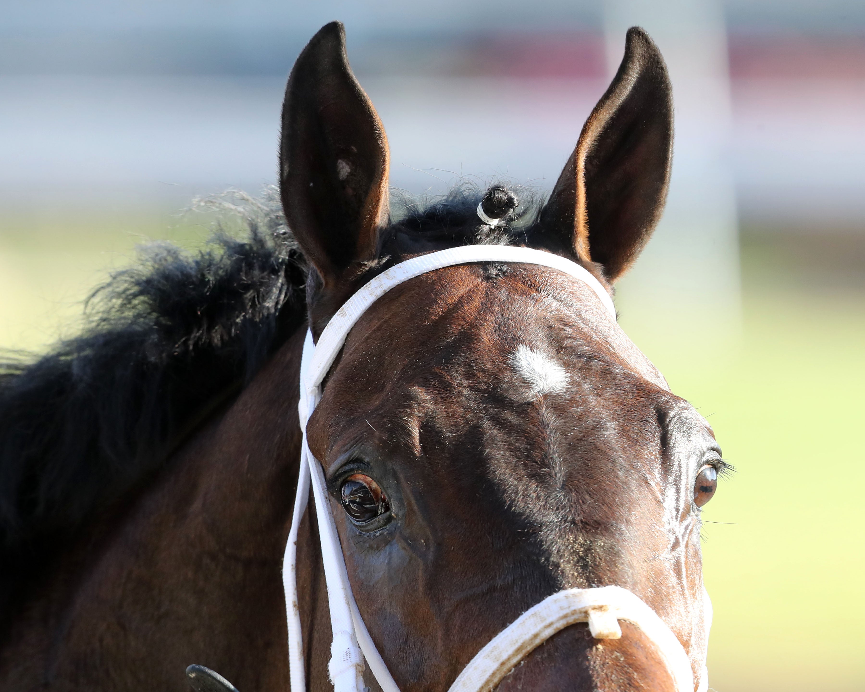 CURLIN'S MALIBU - The Iron Horse - 11-15-25 - R06 - CD - Come Back 01 ...