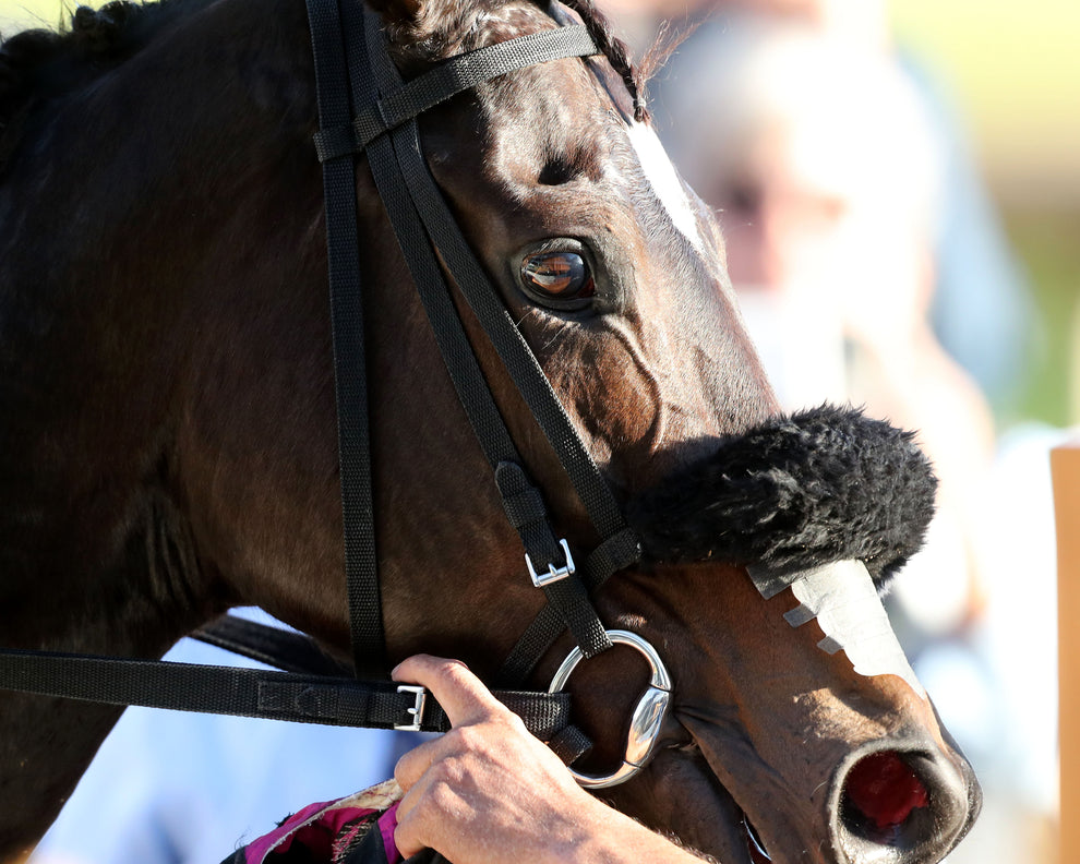 NEXT GIRL - The Glass Slipper - 11-15-25 - R07 - CD - Come Back 01 ...