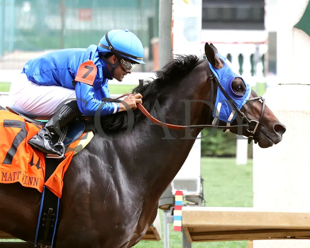 EAST AVENUE - The Matt Winn G3 - 28th Running - 06-08-25 - R08 - CD ...
