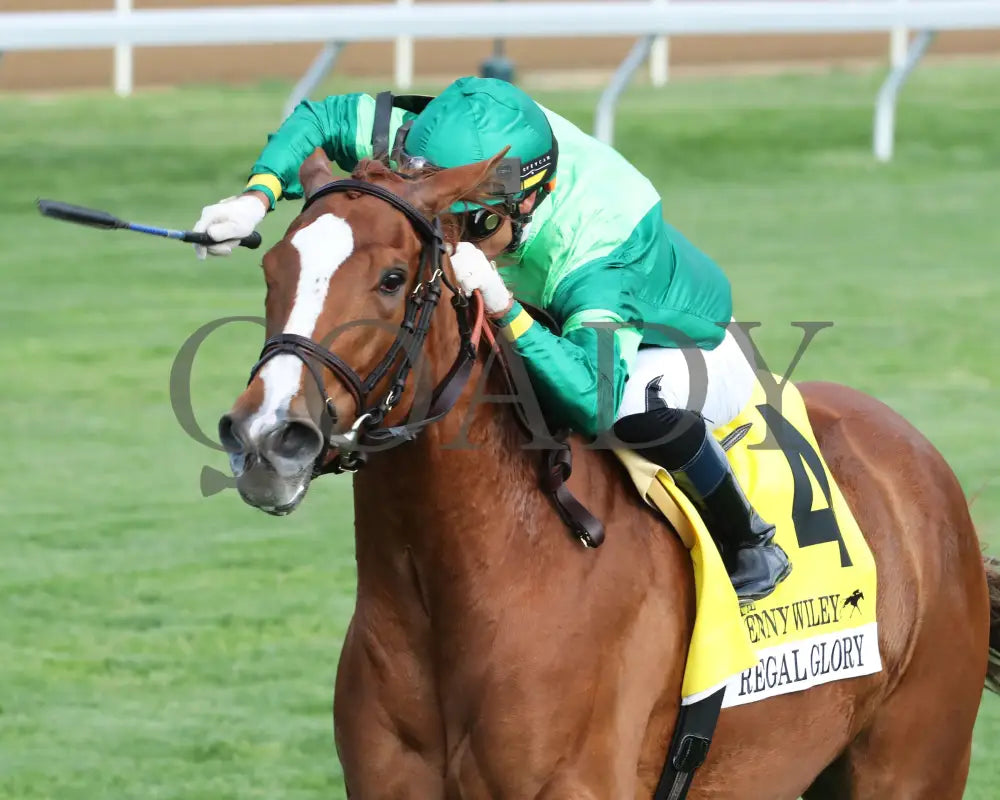 REGAL GLORY - The Jenny Wiley G1 - 34th Running - 04-16-22 - R10 - KEE ...