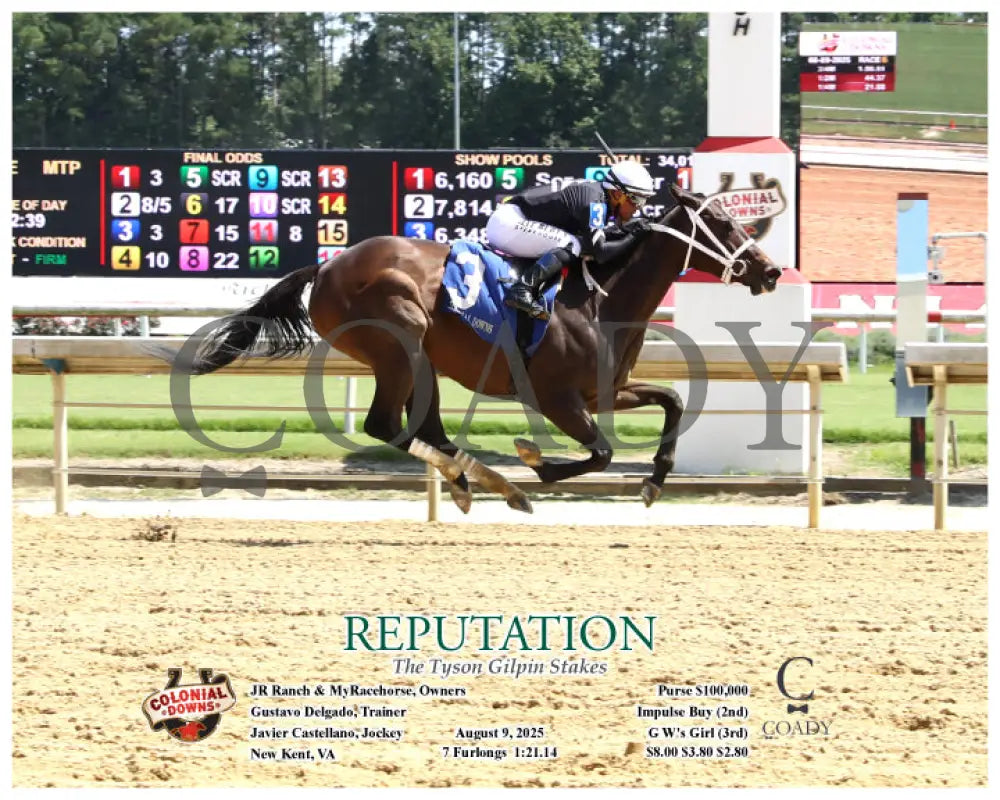 REPUTATION - The Tyson Gilpin Stakes - 08-09-25 - R06 - CNL - Finish 01 | Coady Media - Kurtis ...