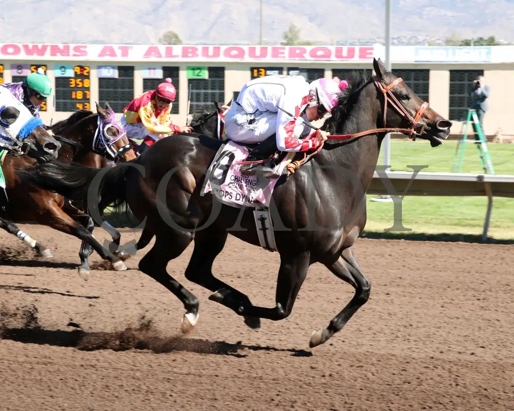 SCOOPS DYNASTY - The AQHA Racing Challenge Championship Gl - 10-18-25 ...