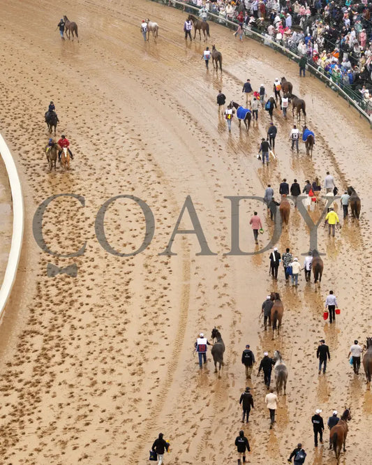 SOVEREIGNTY - The 151st Running of the Kentucky Derby – Page 5 – Coady ...